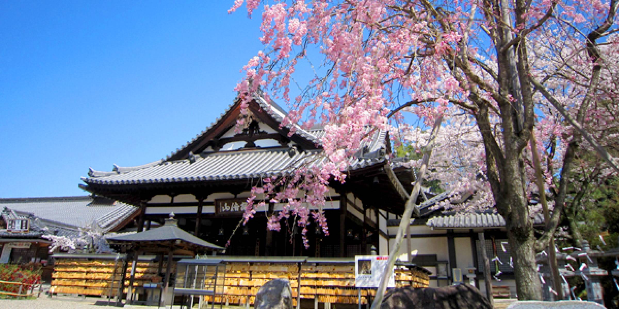 Abe Monjuin Temple, Manjusri/Monju (National Treasure) and Matcha Tea ...